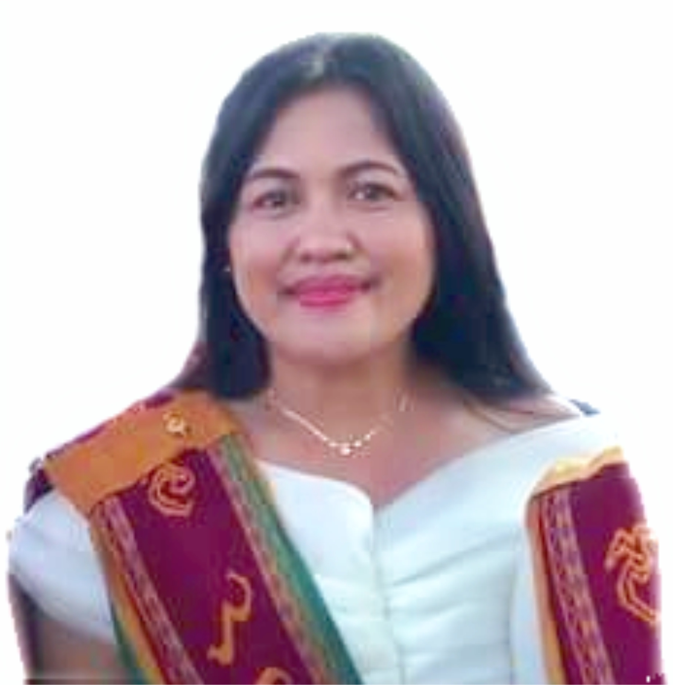 Graduate Faculty of Dept of Food Science and Technology | Visayas State ...